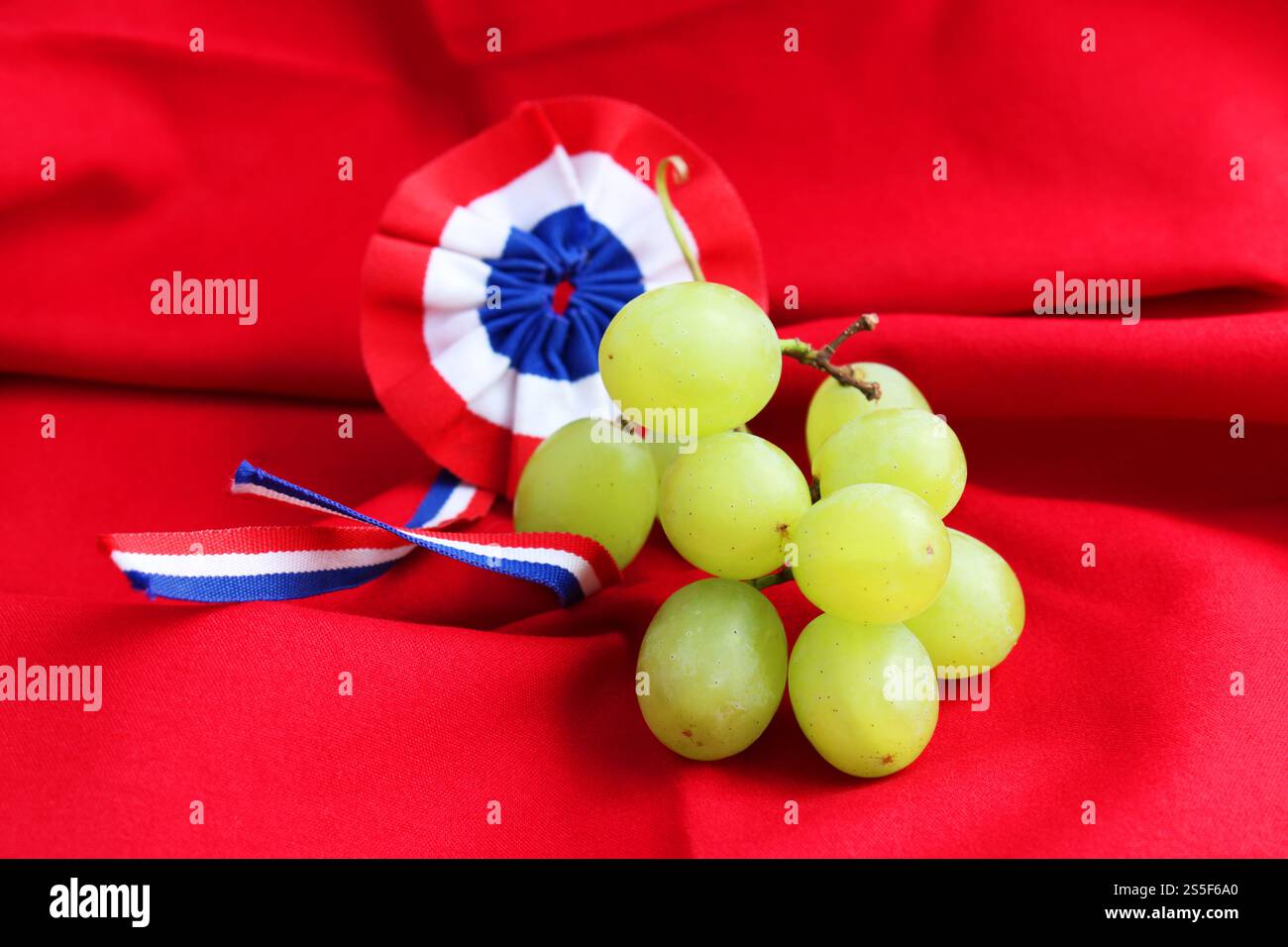 Chile winemaking organic hi-res stock photography and images - Alamy