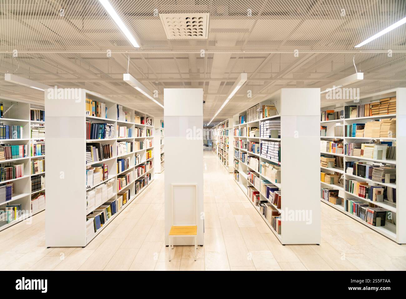 Modern library interior with white bookshelves, organized books, and ...