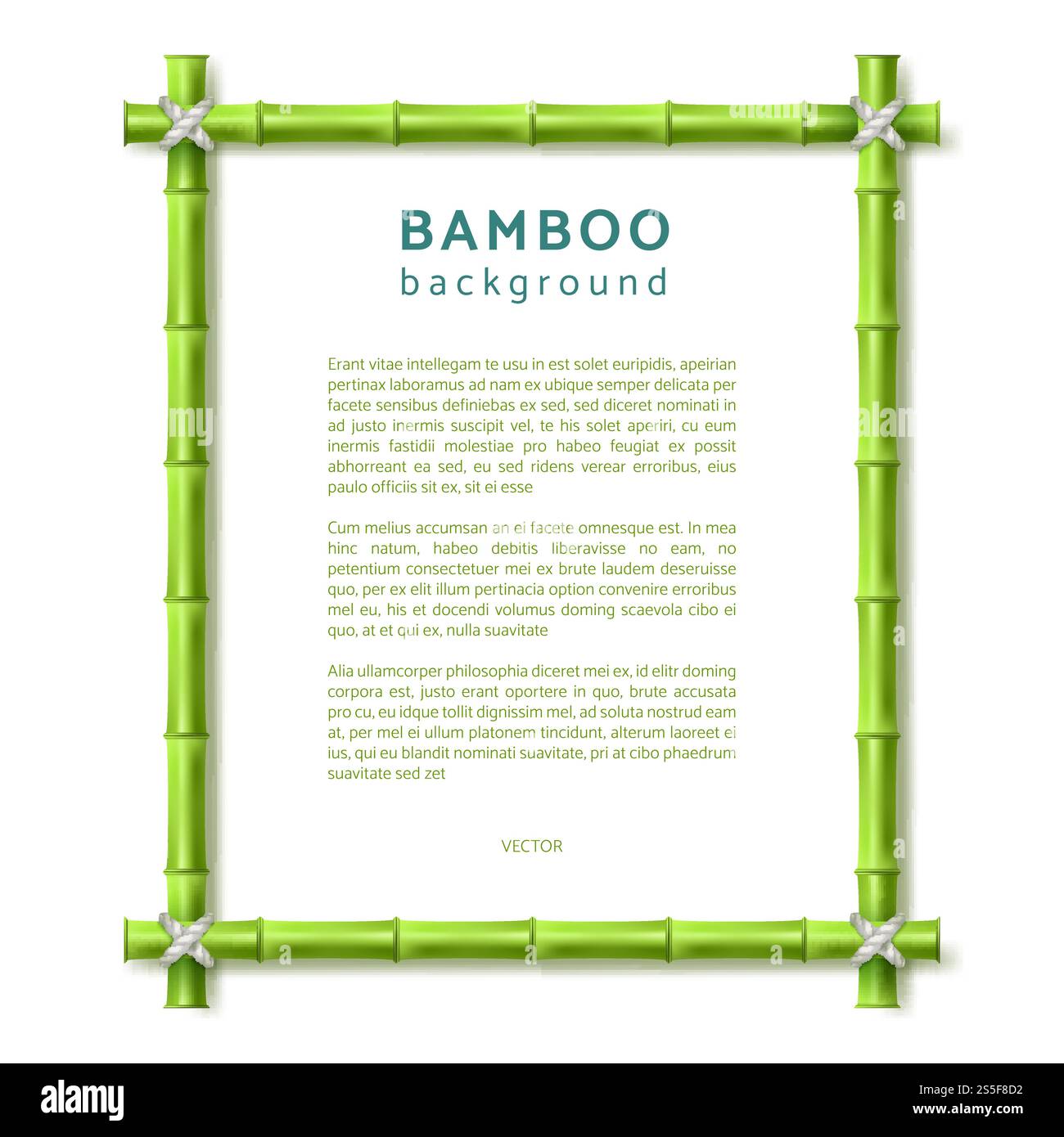 Bamboo frame. Eco spa resort vector background. Frame bamboo plant, eco ...