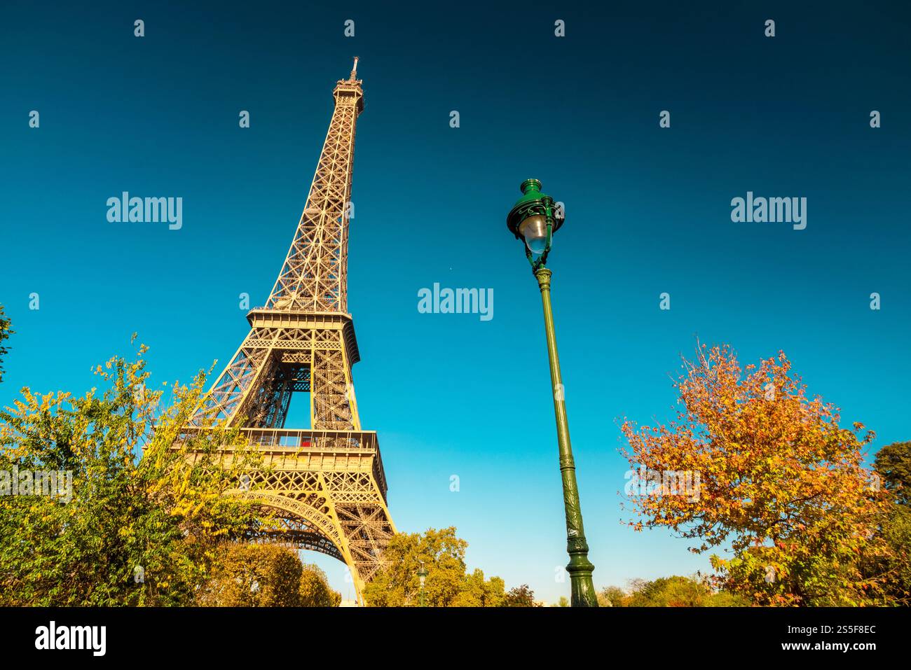 Eiffel tower clear blue skies green lamppost autumn trees hi-res stock photography and images ...