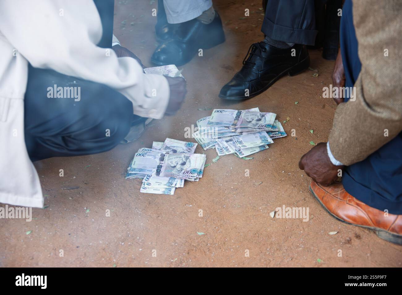 Lobola cattle hi-res stock photography and images - Alamy