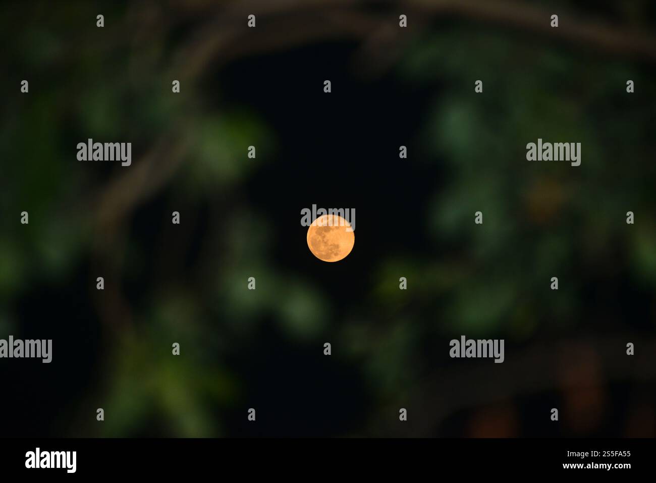Siliguri, West Bengal, India. 14th Jan, 2025. A Full Moon is seen in ...