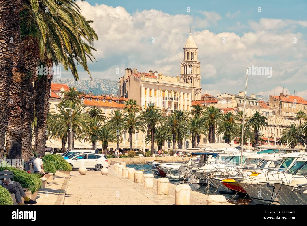 Sunny day at a Mediterranean marina with moored boats, palm trees, and ...