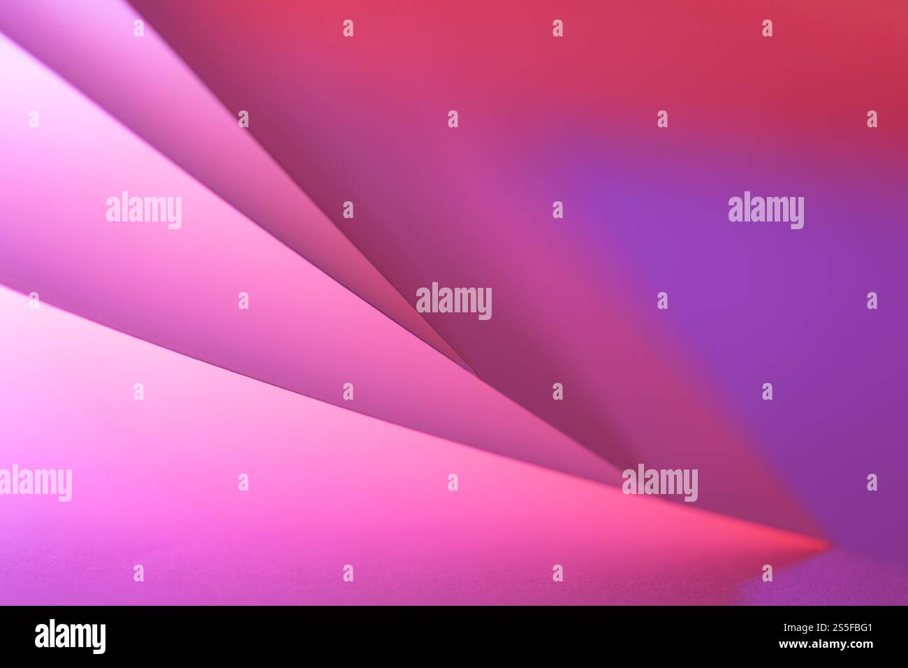 Curved shapes in vibrant pink tints blend together harmoniously ...