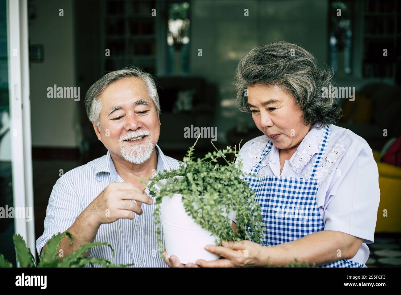 Elderly couples talking together and plant a trees in pots Stock Photo ...