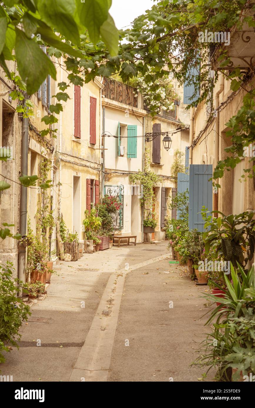 Narrow alley with historic medieval buildings and lush greenery and ...