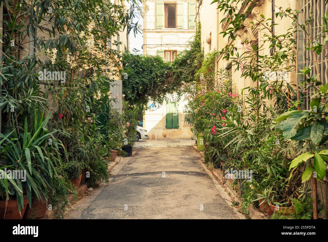 Scenic narrow alley in Arles with greenery vivid plants in the old town ...