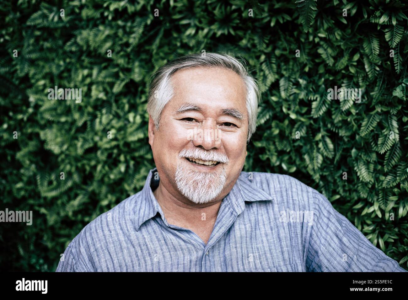 Portrait senior caucasian man standing hi-res stock photography and ...