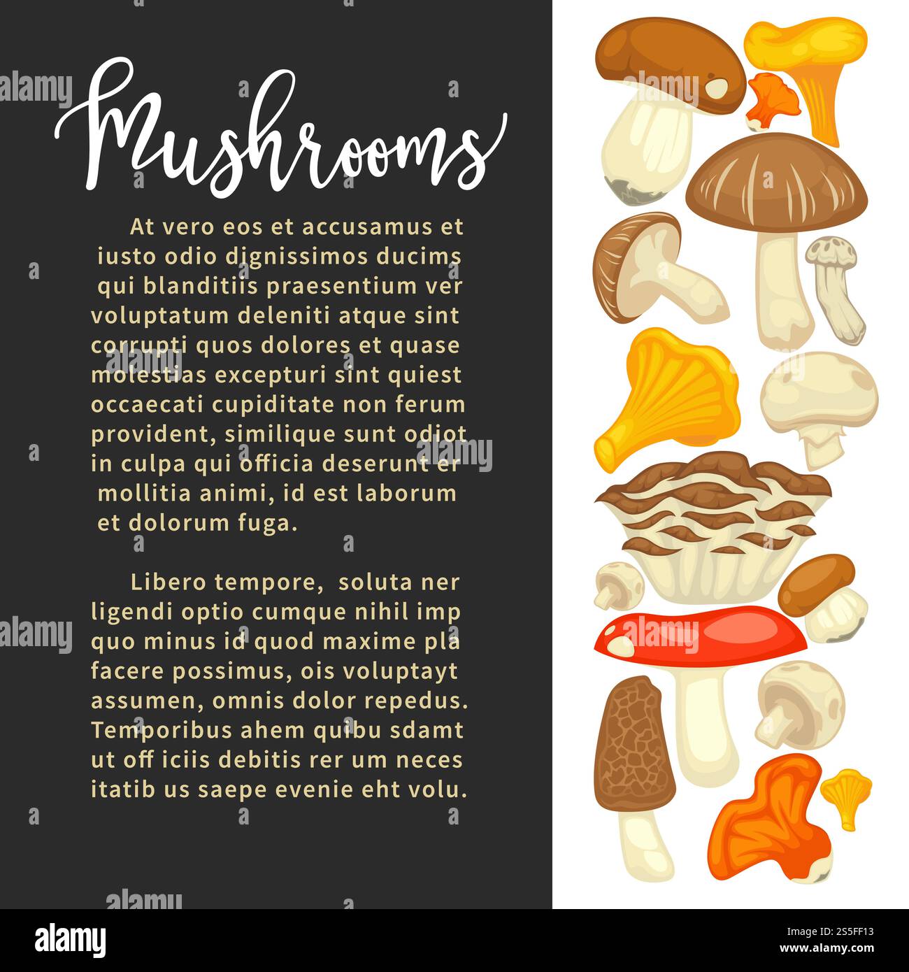 Ripe forest mushrooms of all edible species on promotional poster with ...
