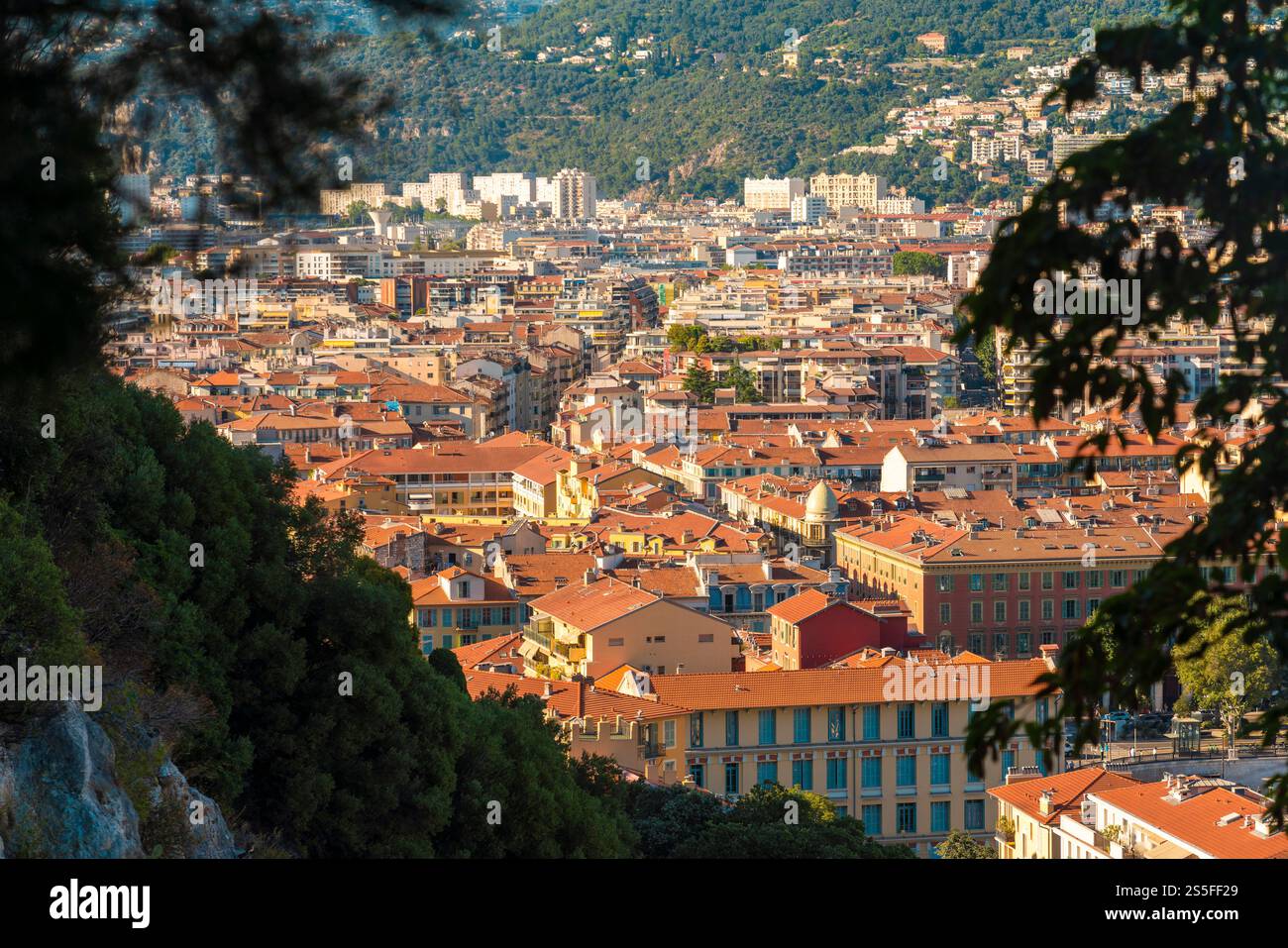 Aerial view rooftops among trees hi-res stock photography and images ...