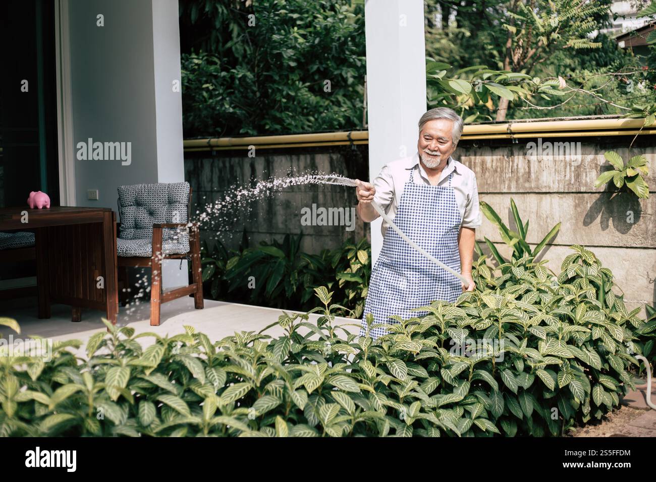 Senior man plant a tree at home Stock Photo - Alamy