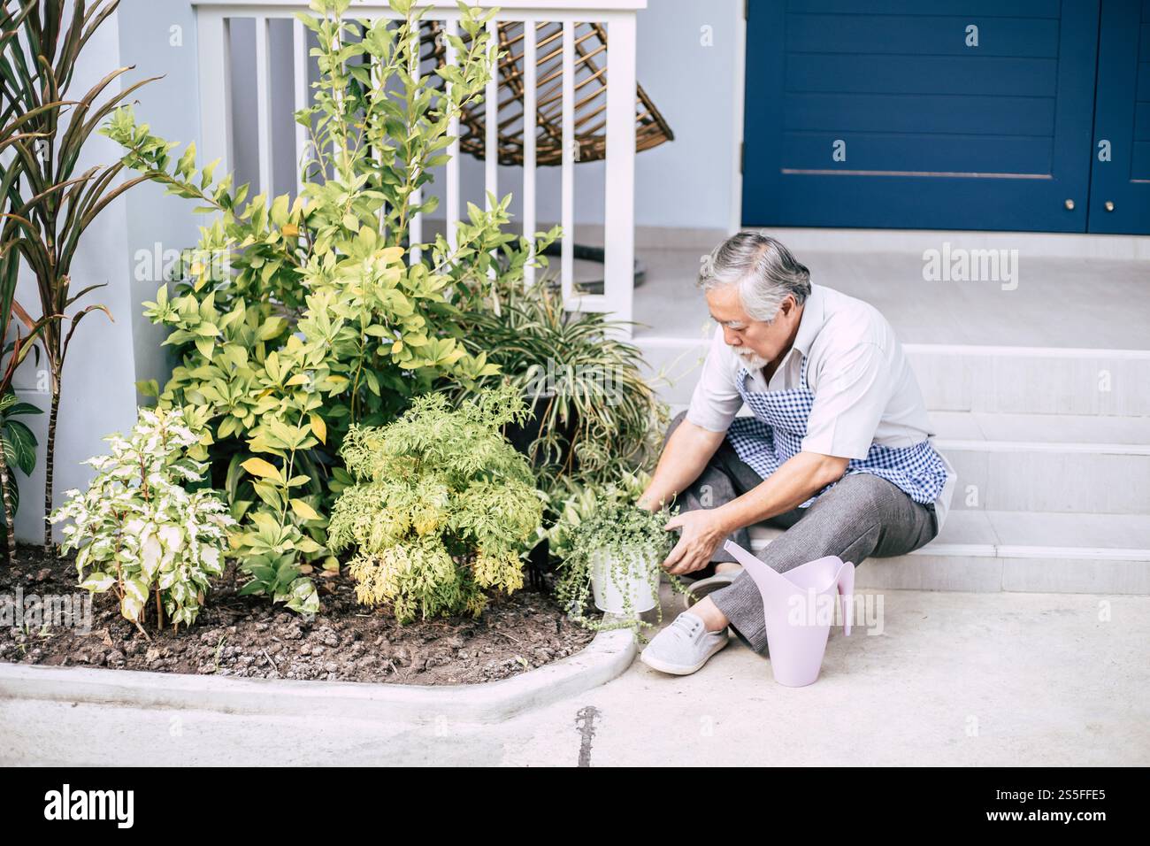 Senior tree hi-res stock photography and images - Alamy