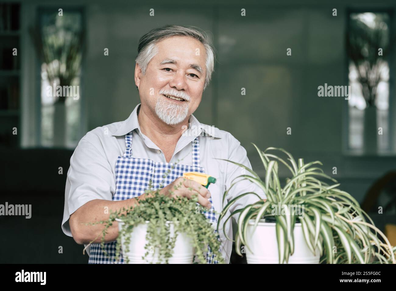 Senior man plant a tree at home Stock Photo - Alamy