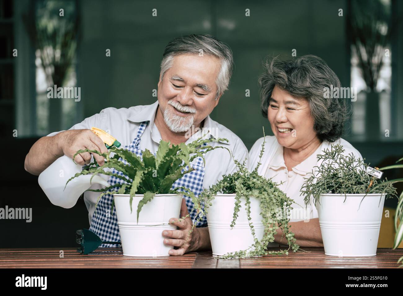 Elderly couples talking together and plant a trees in pots Stock Photo ...