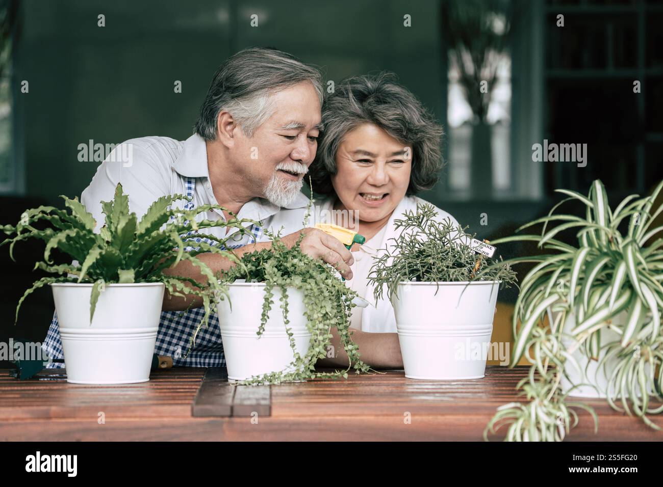 Elderly couples talking together and plant a trees in pots Stock Photo ...