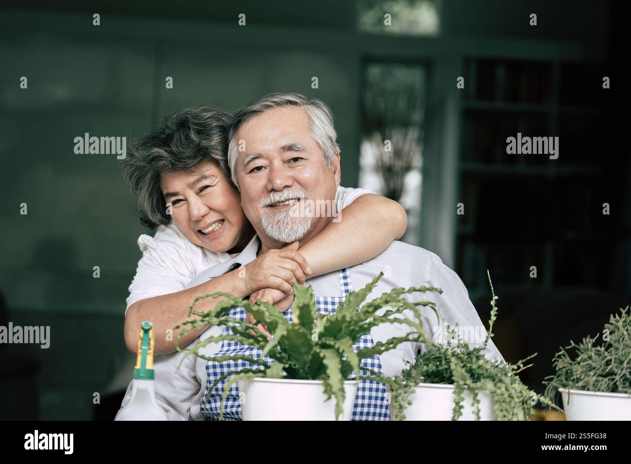 Elderly couples talking together and plant a trees in pots Stock Photo ...