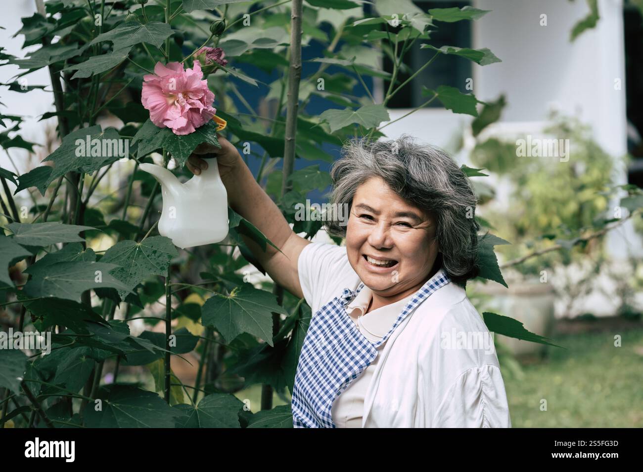 Elderly woman flowers hi-res stock photography and images - Alamy
