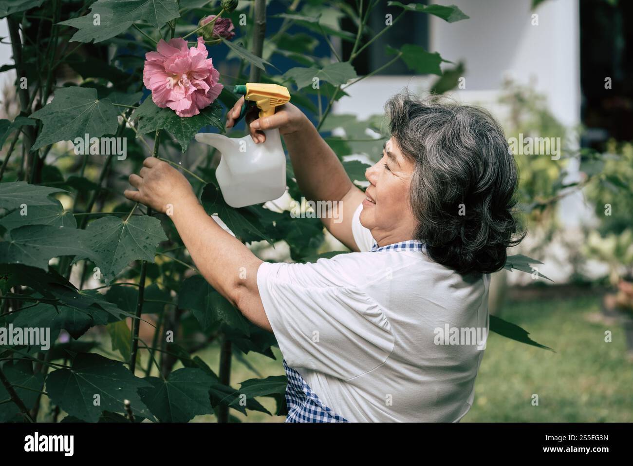 Mature gathering hi-res stock photography and images - Alamy