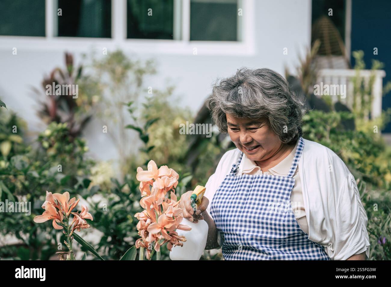 Mature gathering hi-res stock photography and images - Alamy