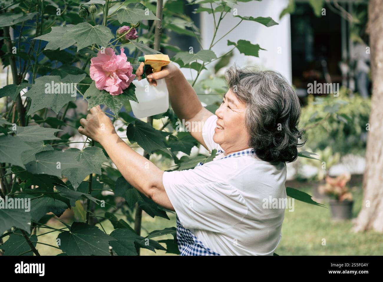 Gathering of women in hi-res stock photography and images - Alamy