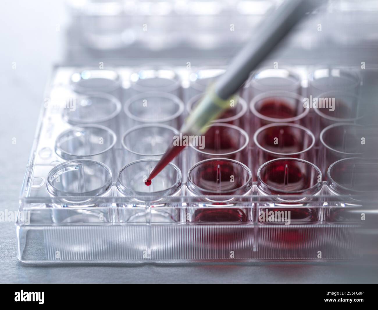 Cell Research, Scientist pipetting blood for cell research during a ...