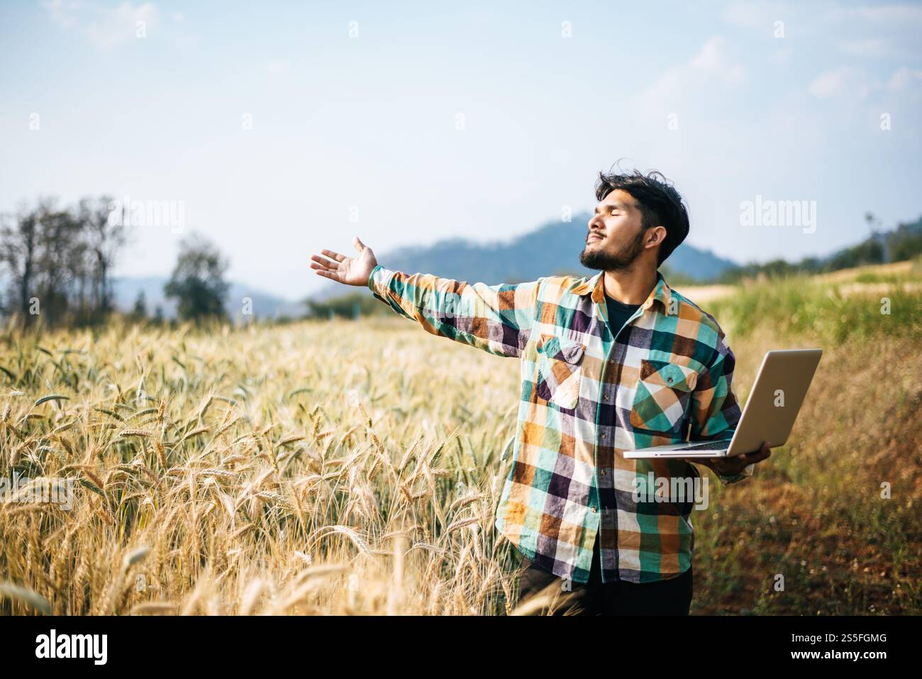 Smart farmer checking barley farm with laptop computer Stock Photo - Alamy