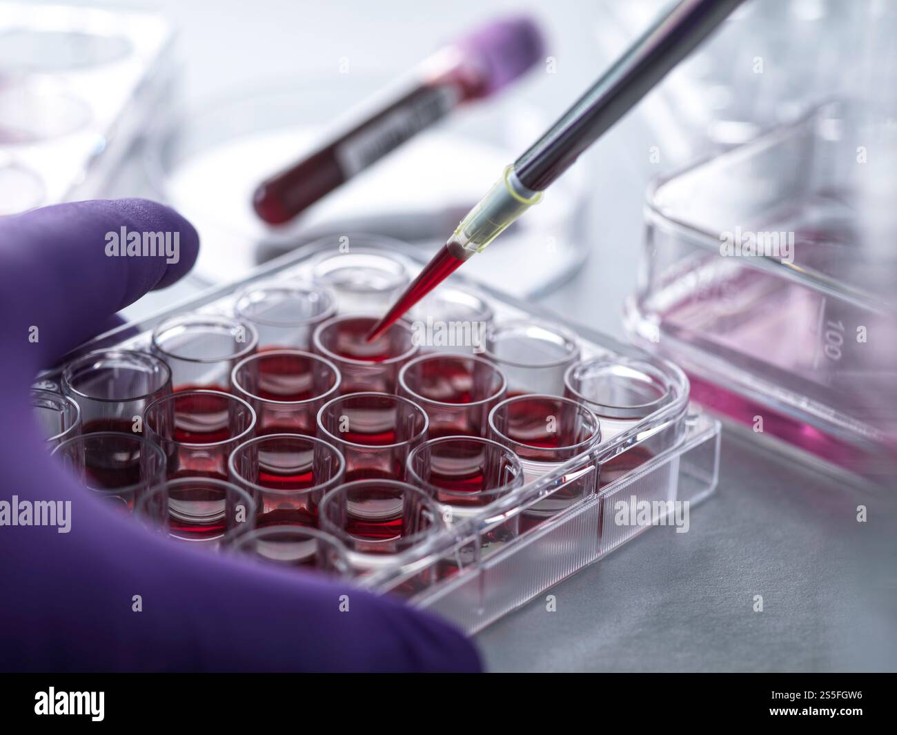 [various]Cell Research, Scientist pipetting blood for cell research ...