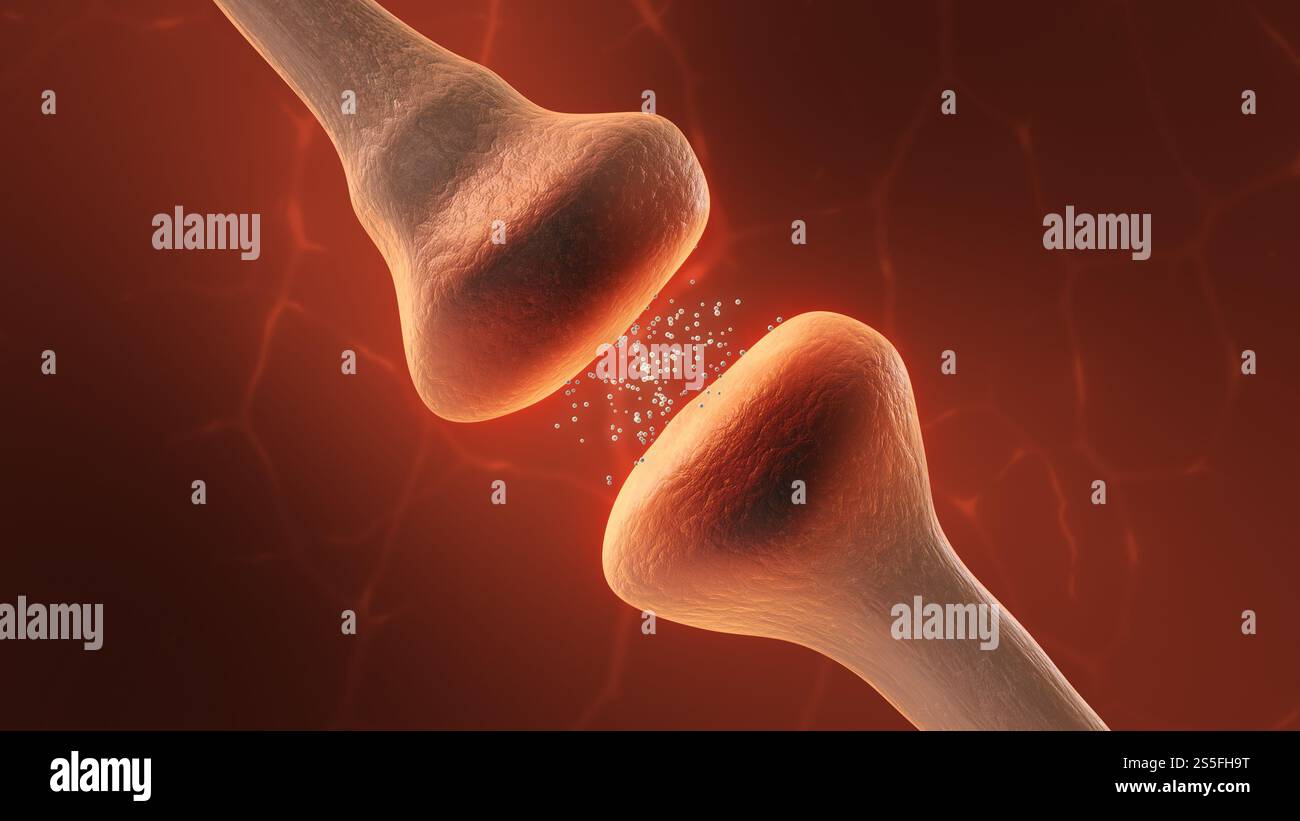 Molecular Brain Receptors Modulating Neural Activity Signals Stock ...