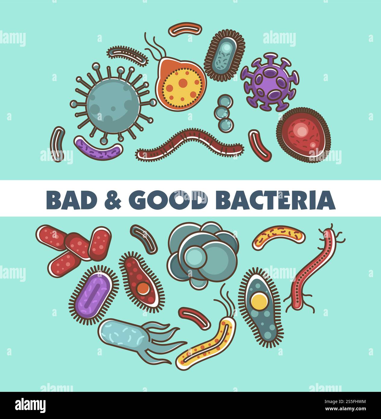 Viruses, bacteria and microbes poster for biology study or medical ...