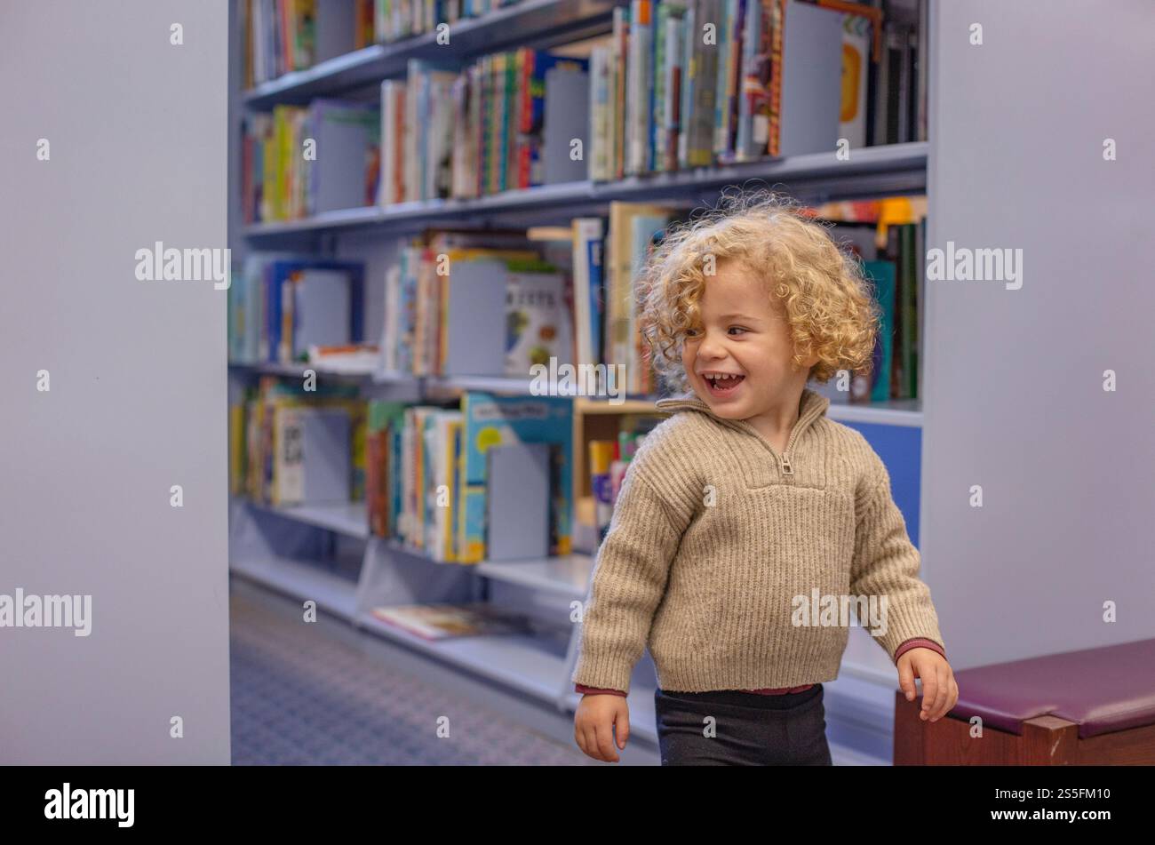 Bookshelves background cleveland hi-res stock photography and images ...