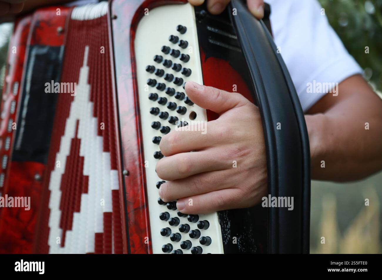 Fingers Moving Fast On The Buttons Of The Accordion Stock Photo - Alamy