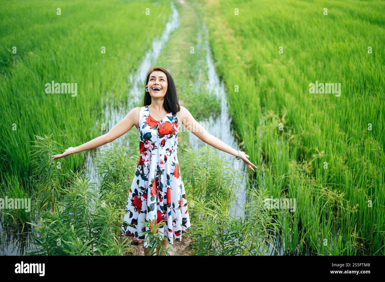 Summer walk in beautiful hi-res stock photography and images - Alamy