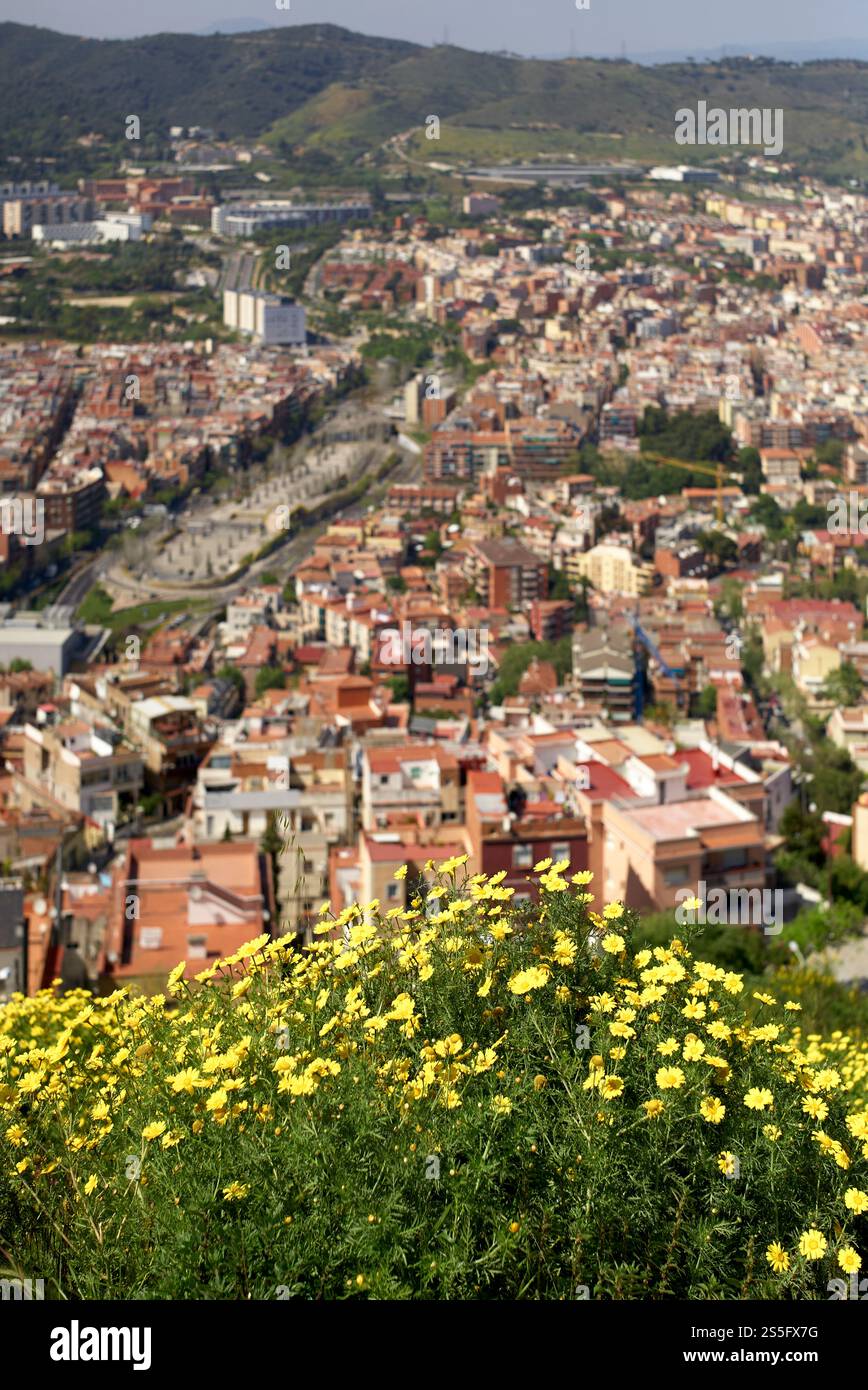 Vibrant cityscape residential commercial buildings sprawling up ...