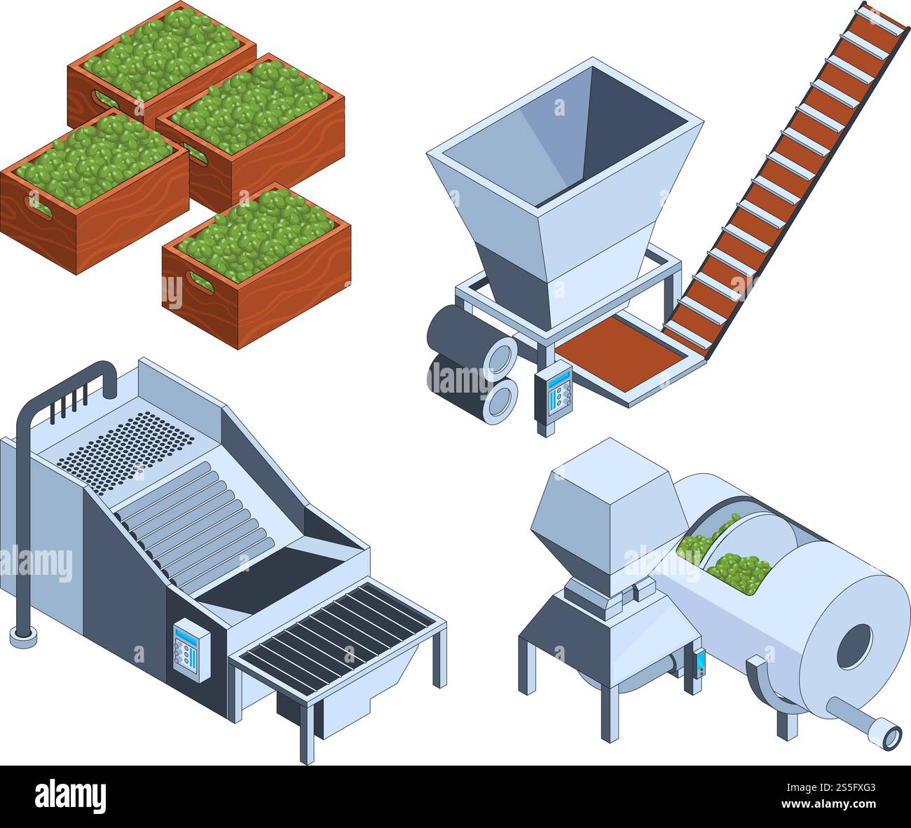 Olive production. Oil plants extraction technology farm tanks press fruits manufacturing bottle ...