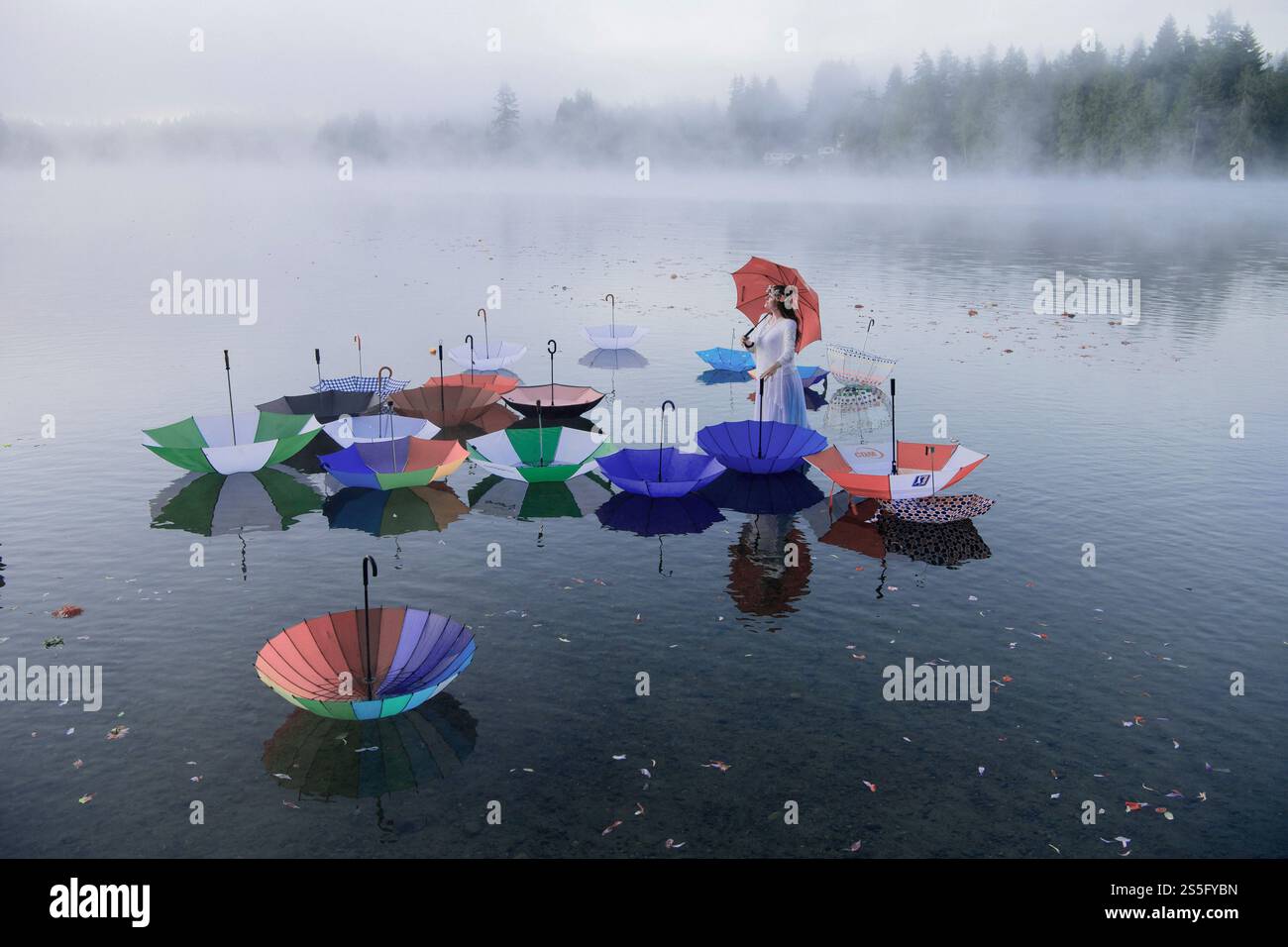 A serene lake scene with several colorful umbrellas floating on the ...