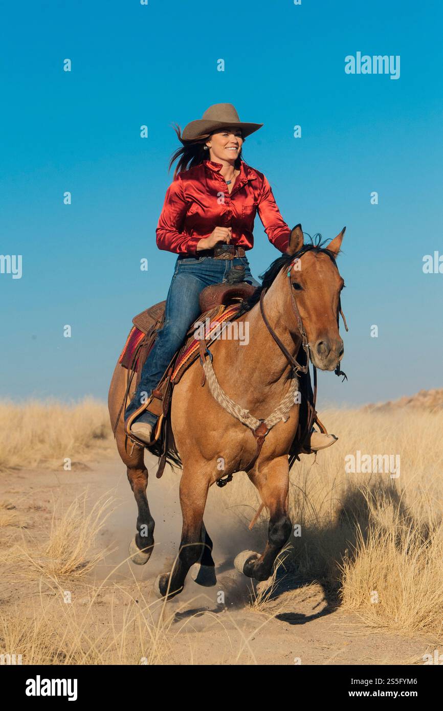 Woman blue shirt cowboy hat rides brown horse through dry hi-res stock ...