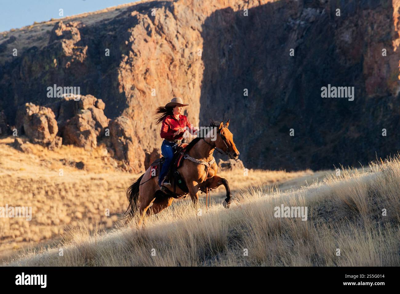 Cowboy on horseback galloping through hi-res stock photography and ...