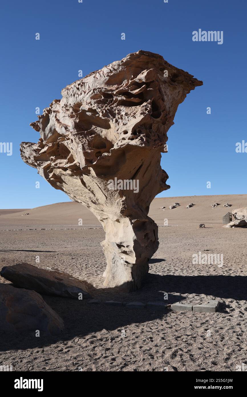 Bolivia Stone Tree - Avaroa National Reserve Stock Photo - Alamy