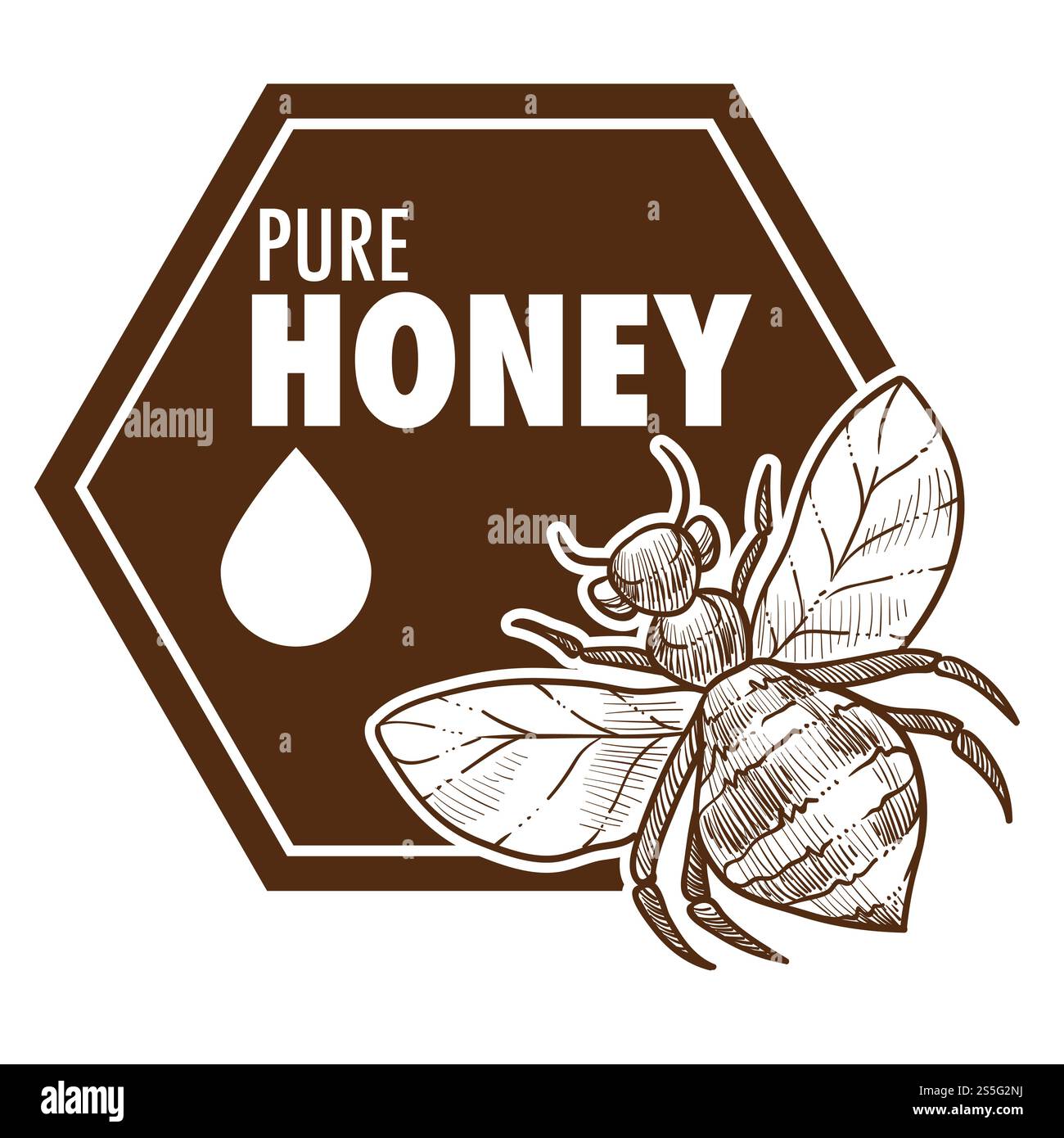 Pure honey poster with bee monochrome sketch outline vector hi-res ...