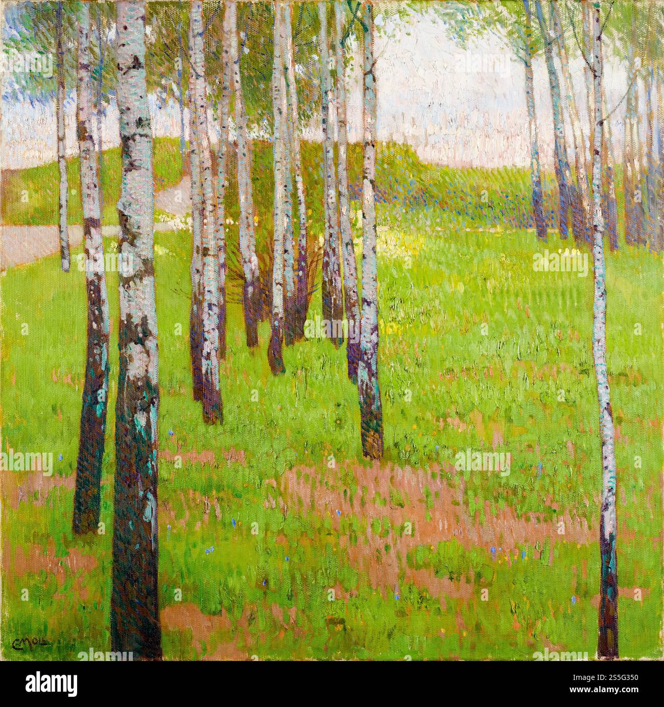 Carl Moll, Birch grove in the evening light, painting in oil on canvas ...