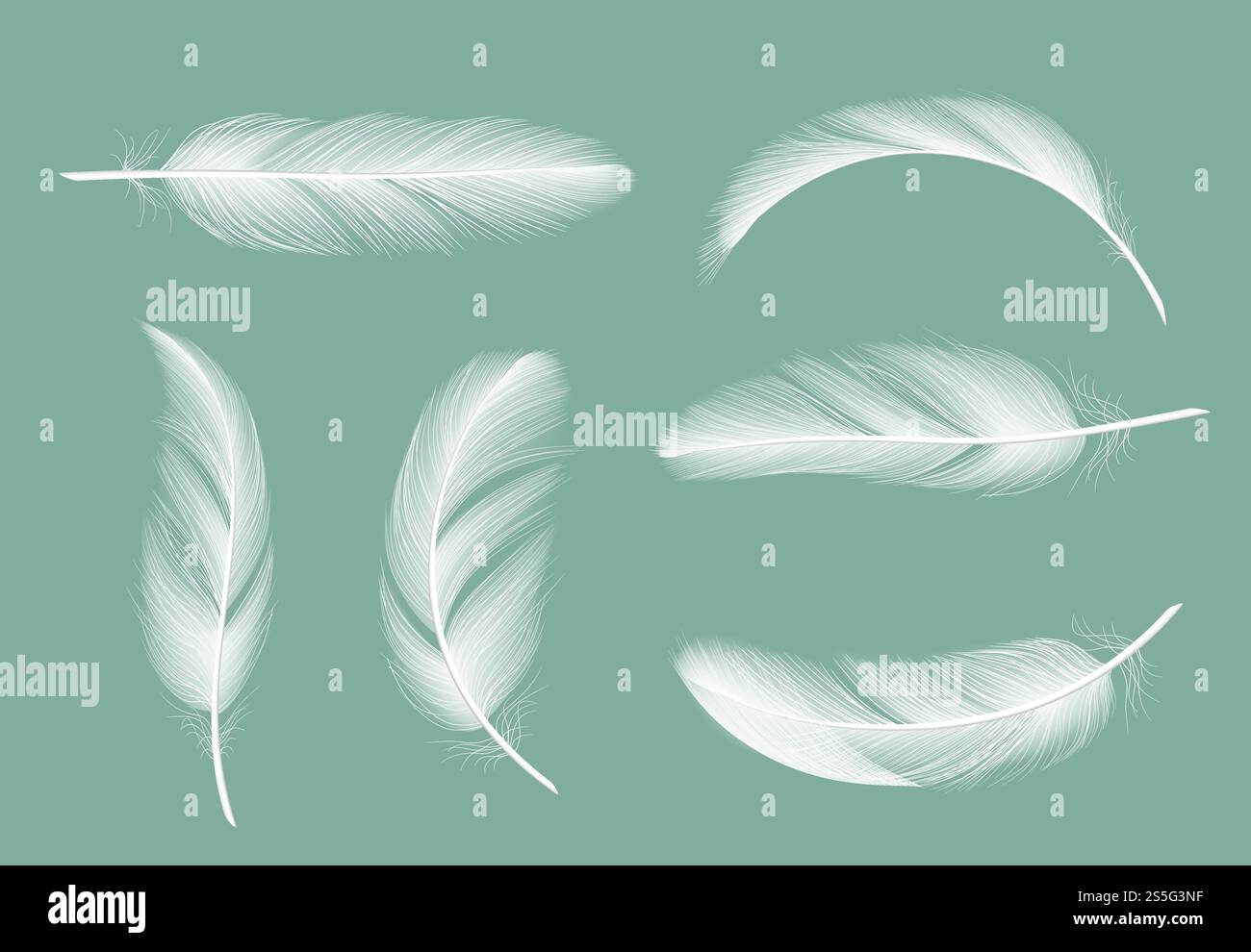 Feathers collection. Flying furry of goose vector realistic pictures ...