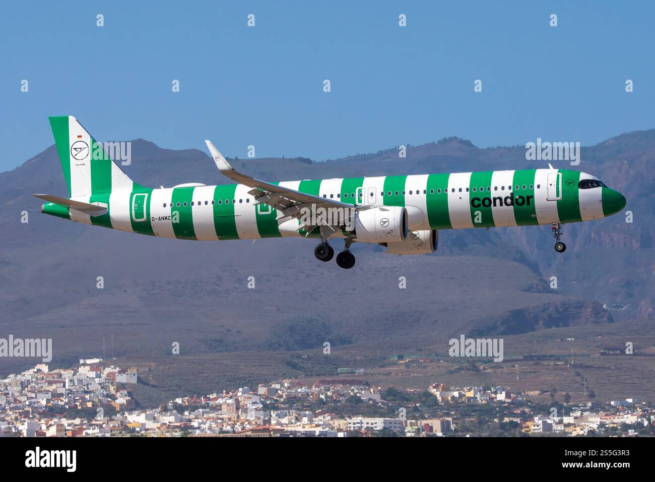 Librea neo hi-res stock photography and images - Alamy