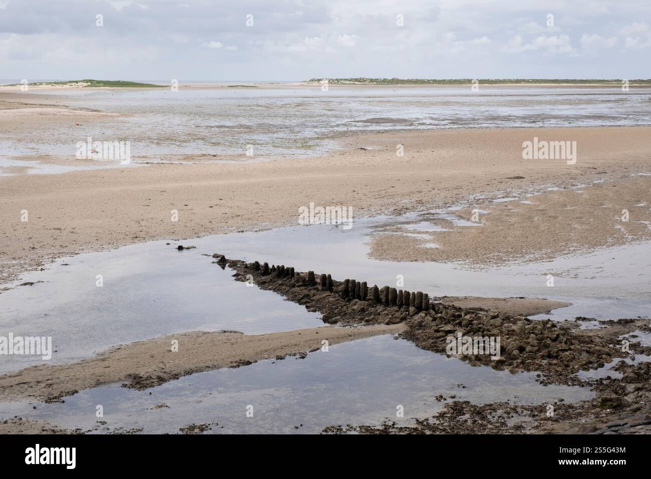 Wooden groin at the North Sea coast, Amrum island Stock Photo - Alamy