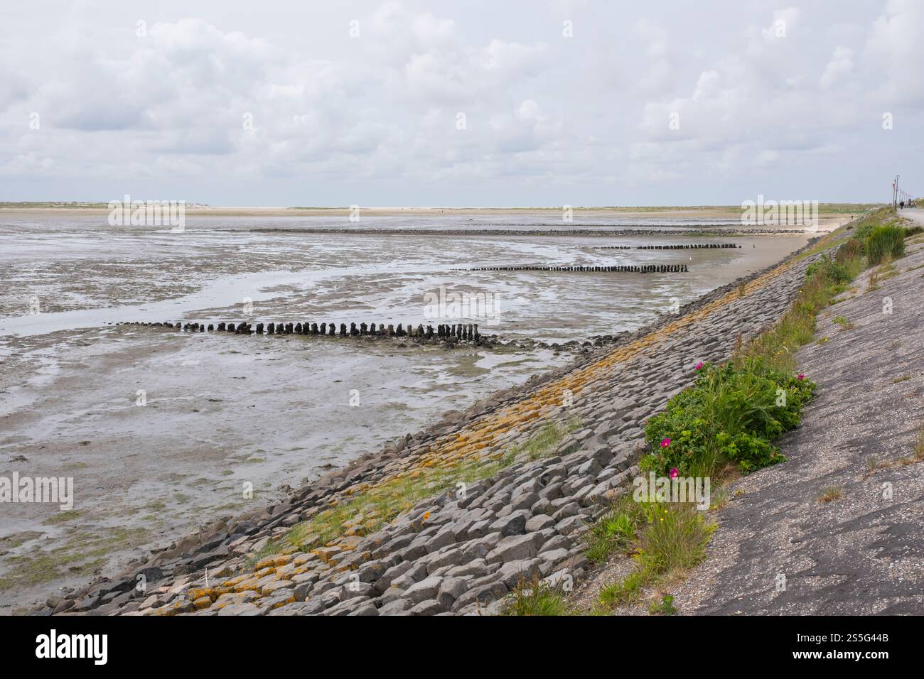 Wooden groin at the North Sea coast, Amrum island Stock Photo - Alamy