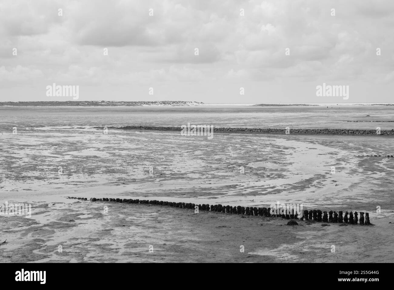 Wooden groin at the North Sea coast, Amrum island Stock Photo - Alamy