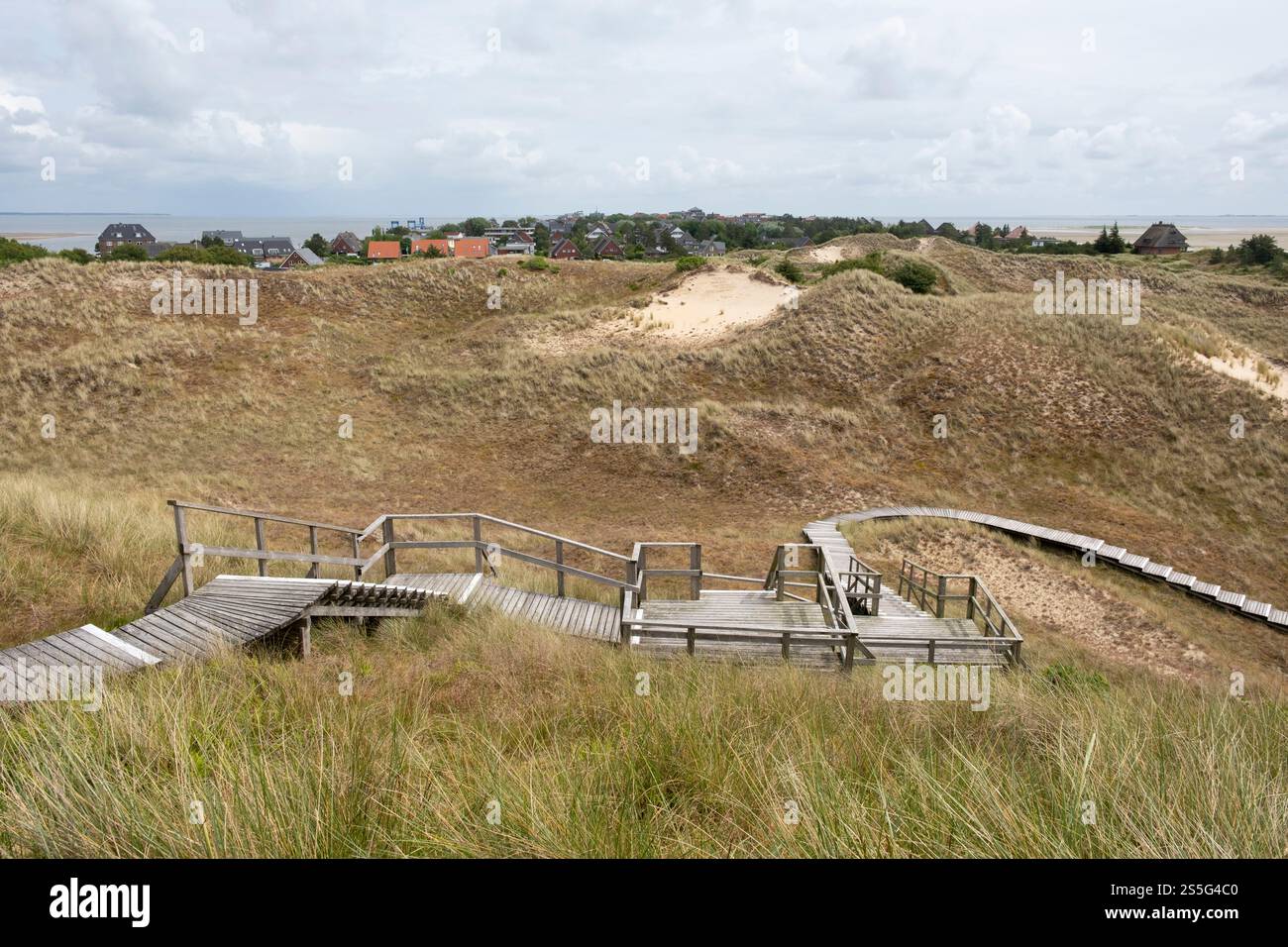 Log paved path through the dune landscape, Amrum island Stock Photo - Alamy