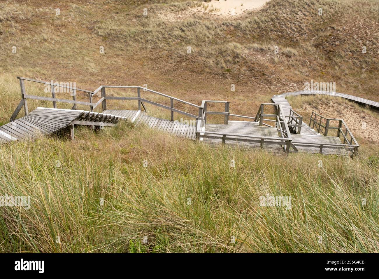 Log paved path through the dune landscape, Amrum island Stock Photo - Alamy