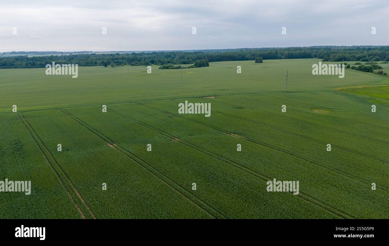 Aerial view of a vast green agricultural field under a cloudy sky. The ...