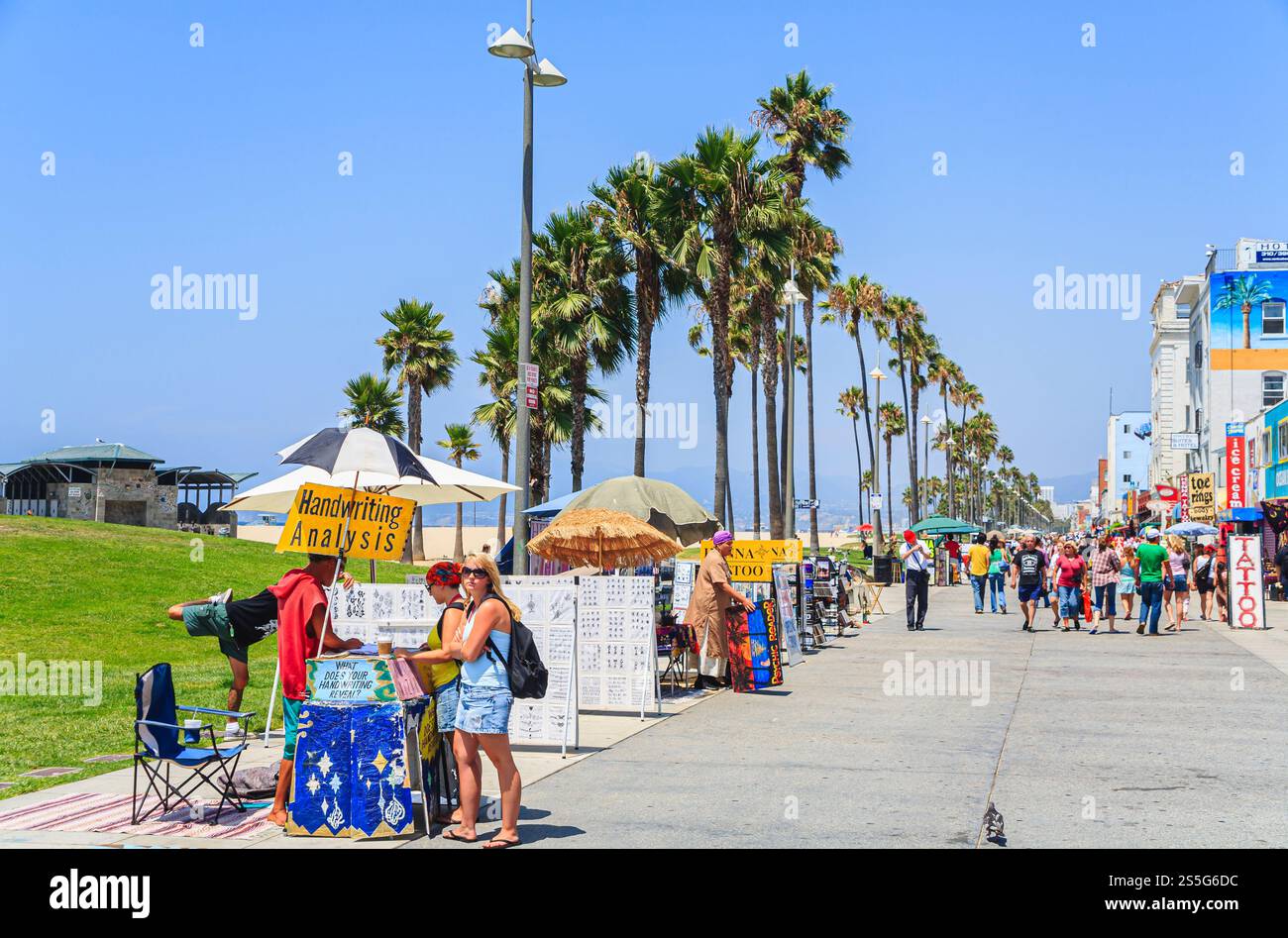 The popular palm tree lined boardwalk seafront promenade at Venice ...