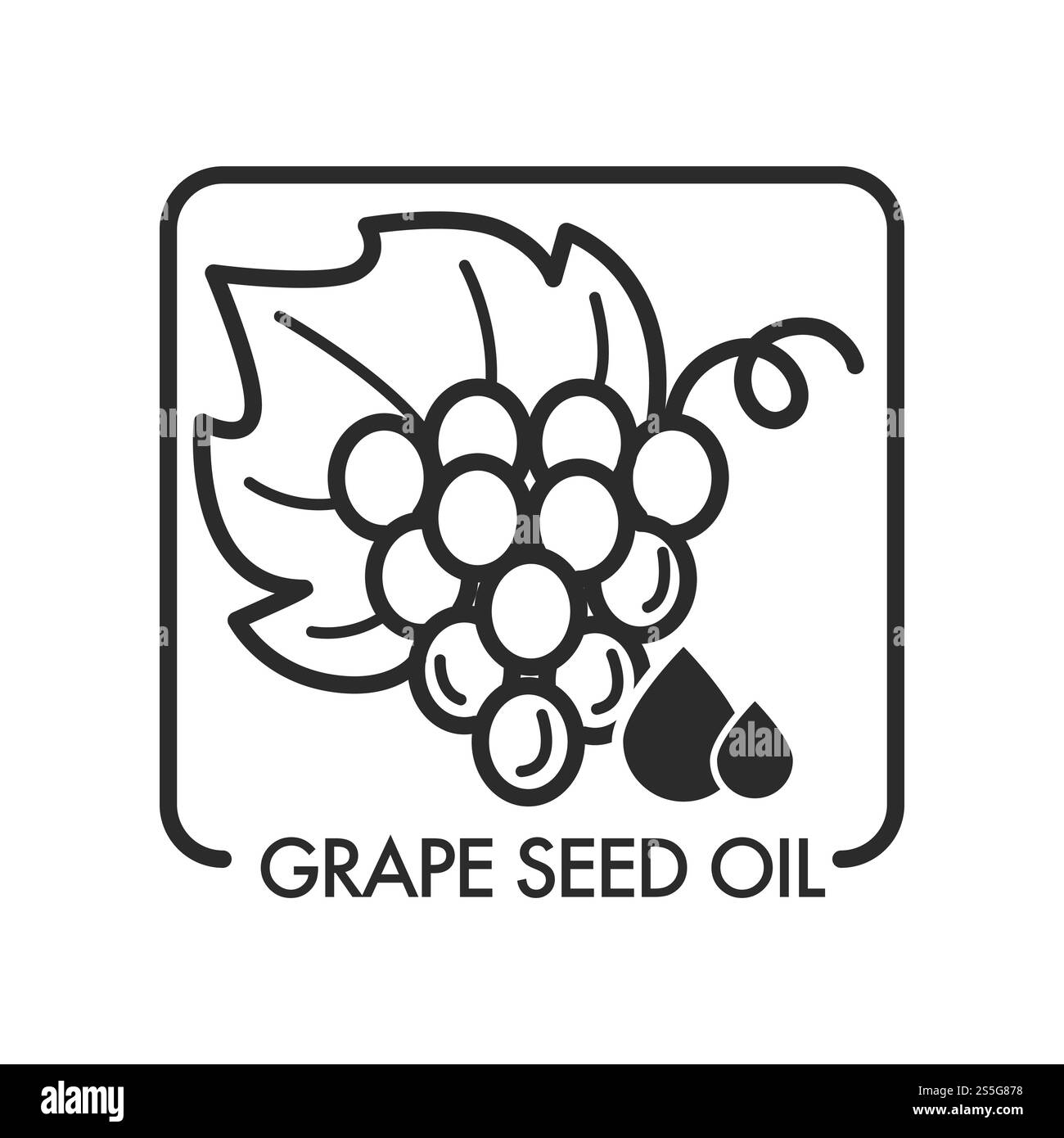 Grape seed oil, monochrome sketch outline isolated logo vector. Natural ...